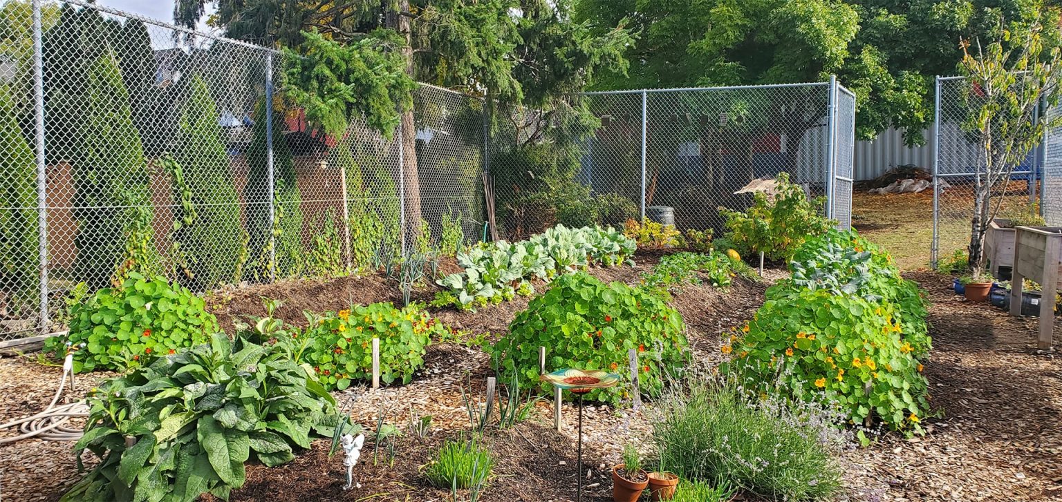 Health & Wellness - Victoria Native Friendship Centre