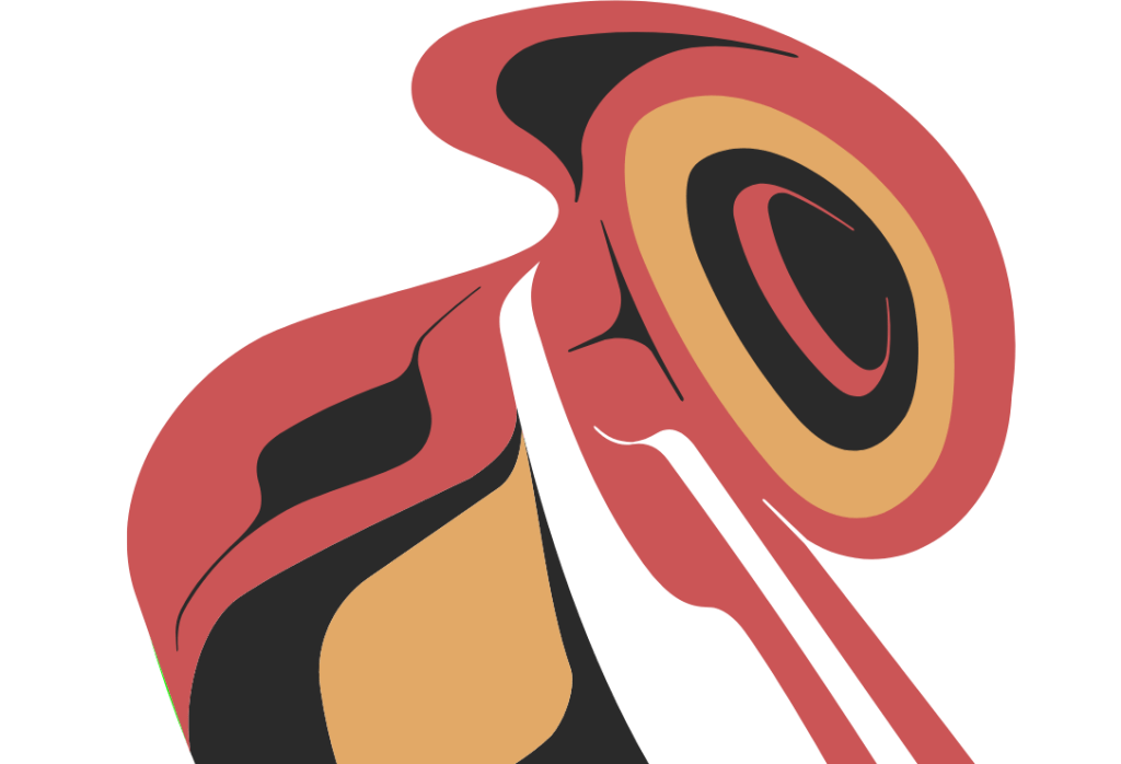 Donate Pledge - Victoria Native Friendship Centre